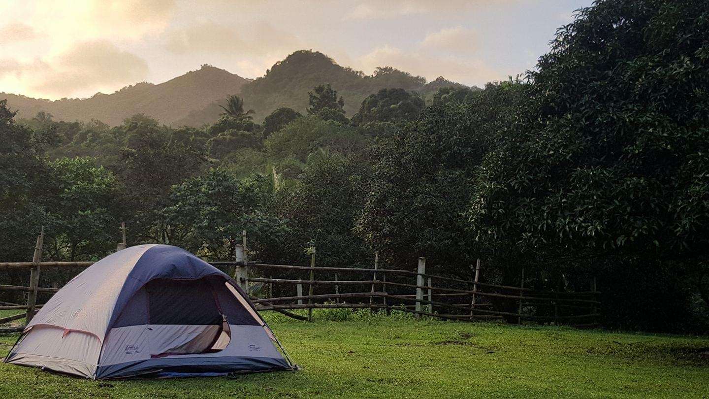 Campsites with Farm - Campsites Philippines