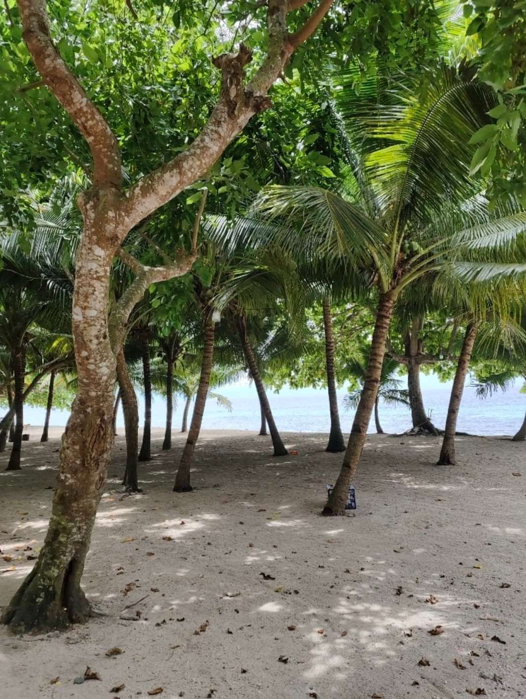 San Remegio Cove Beach Resort - Campsites Philippines